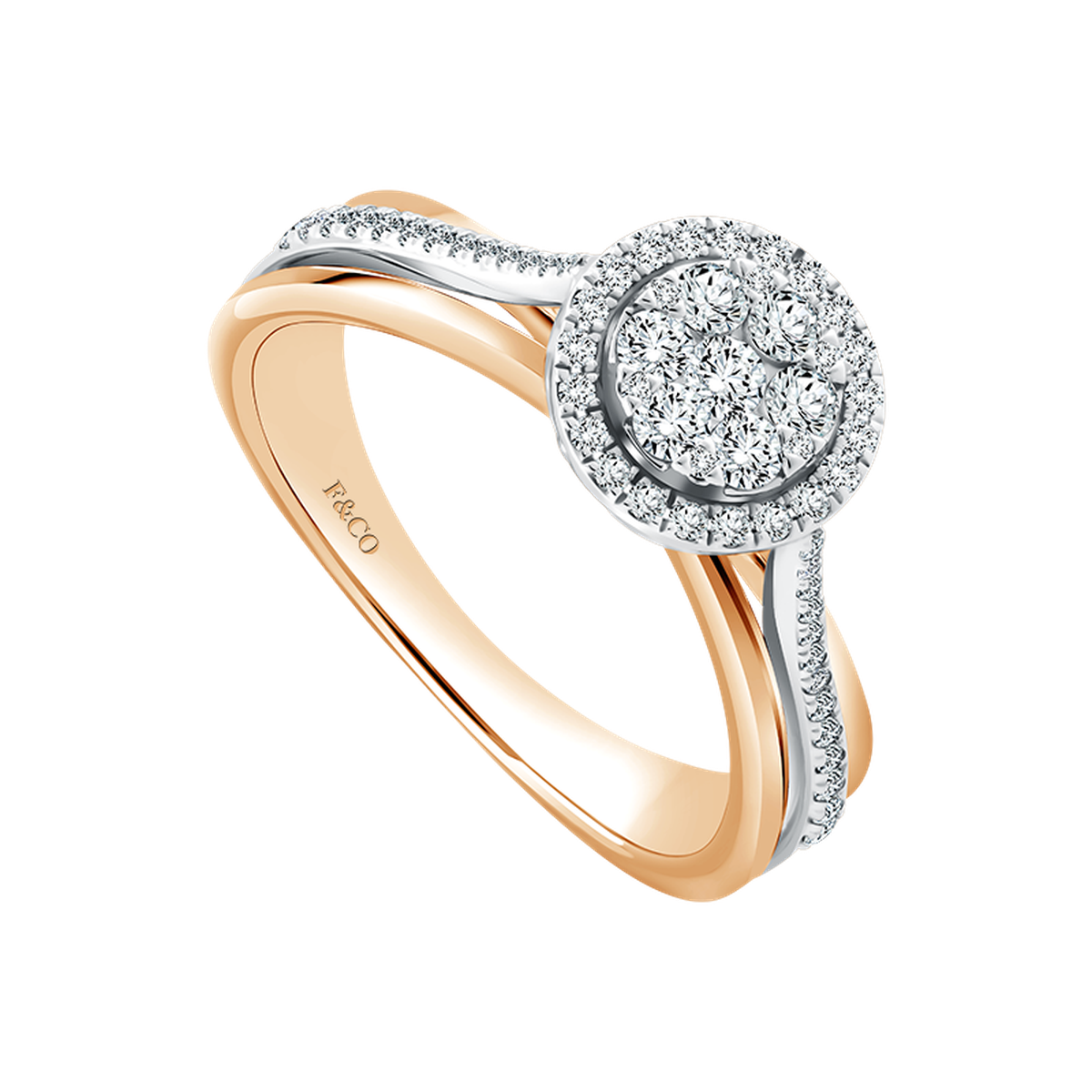Frank & co. Array Anniversary Passion Ladies Ring - Frank & co. Jewellery