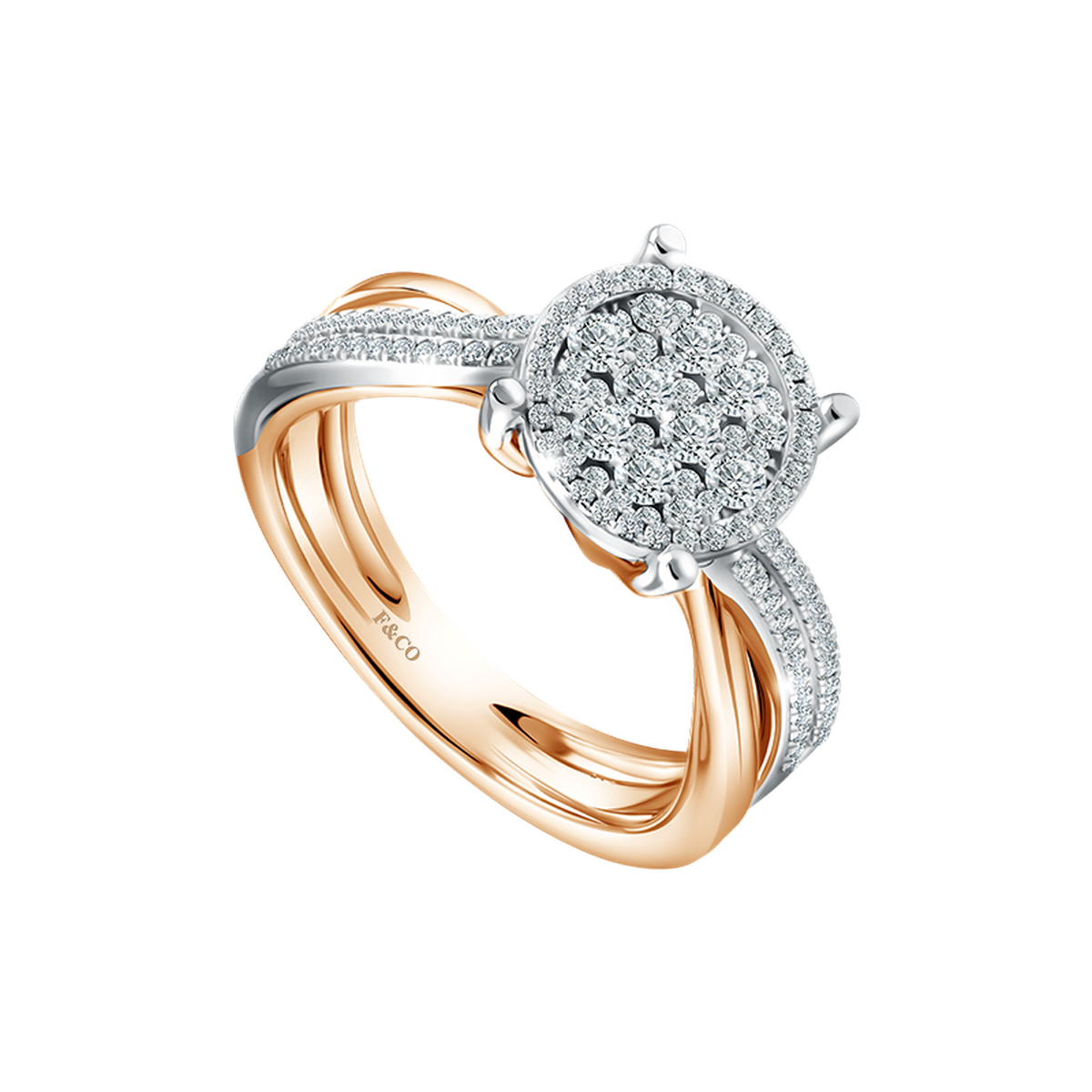 Frank & co. Array Beauty Ladies Ring - Frank & co. Jewellery